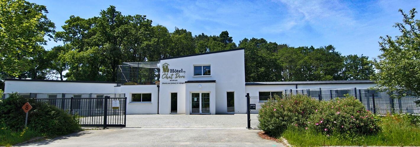 Hôtel du Chat Doré - Pension pour chats en Morbihan, proche de Vannes (56)